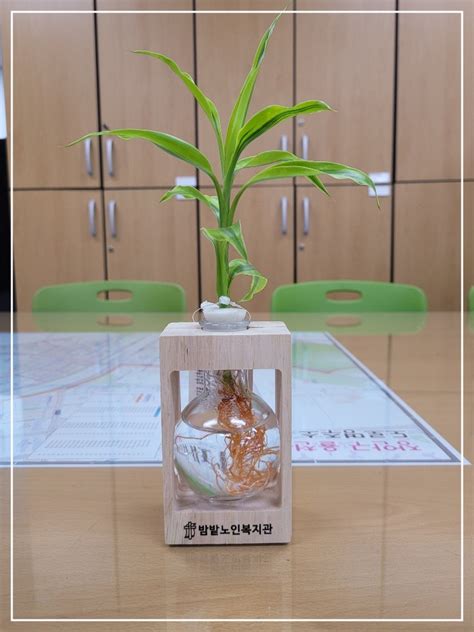 밤밭노인복지관 자원봉사 후원자 감사선물 소식지 스토리센드storysend