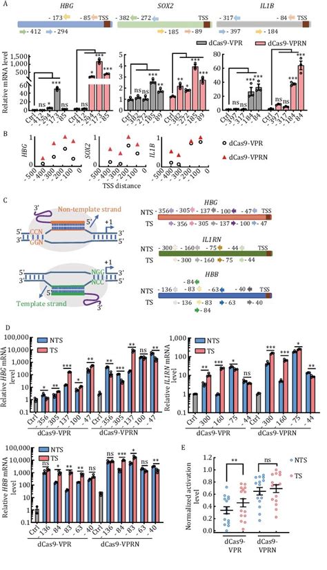 Crispr Assisted Transcription Activation By Phase Separation Proteins Pmc