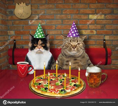 Happy Birthday Cat Eating Cake