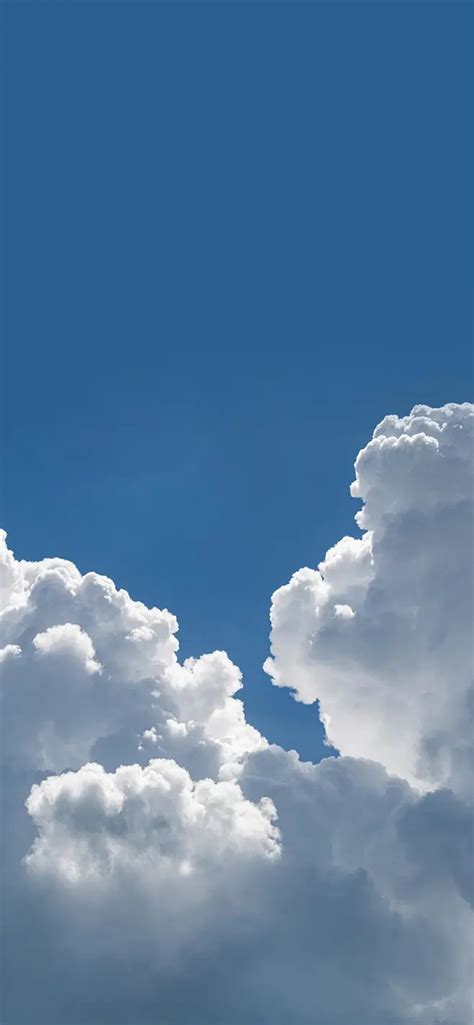 绝美风景壁纸｜春风拂过枝头，而我坠入了你的河流 今日头条 花瓣网