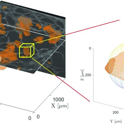 3d Segmentation And Shape Score S S Concept Visualization Left