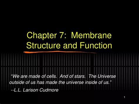 PPT Membrane Structure And Function Fluidity Transport And Mosaic Model PowerPoint