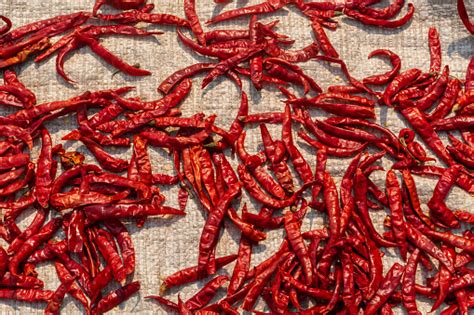 섬유 배경에 말린 붉은 뜨거운 칠리 고추 과일 매운 음식 성분과 좋은 붉은 색 멀지 않은 치앙마이 태국 북부 파야오의 도시에서 찍은 사진 0명에 대한 스톡 사진 및 기타