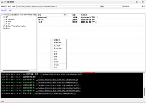 Esp分区管理器 打开管理和修改efi系统分区esp文件的工具 硬核分享下载