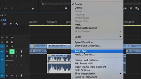 How To Normalize Audio With Premiere Pro In Easy Steps