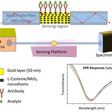 Experimental Setup Of The Mos2 Modified Of Spr Biosensor Download Scientific Diagram