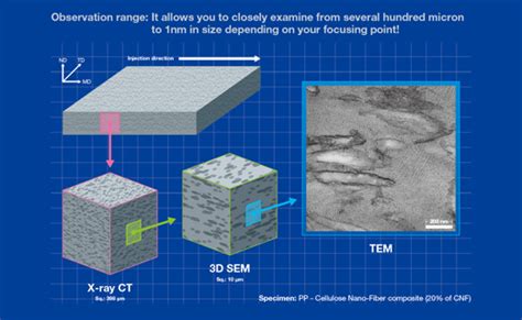Analyses Technical Services Products Carbon Fiber Composite Materials Toray