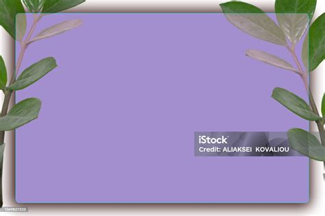 밝은 배경에는 녹색 가지와 텍스트를 삽입 할 수있는 장소가있는 장미 종이가 있습니다 모형 0명에 대한 스톡 사진 및 기타 이미지 0명 개념 개념과 주제 Istock