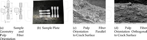 Figure 1 From Compliant Robotics And Automation With Flexible Fluidic Actuators And Inflatable