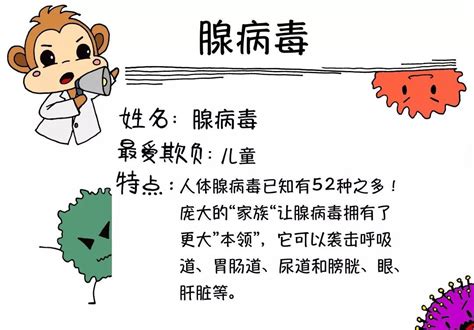 【科普】腺病毒大鹏网