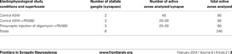 Number Of Synapses And Active Zones Used In The Ultrastructural Download Table