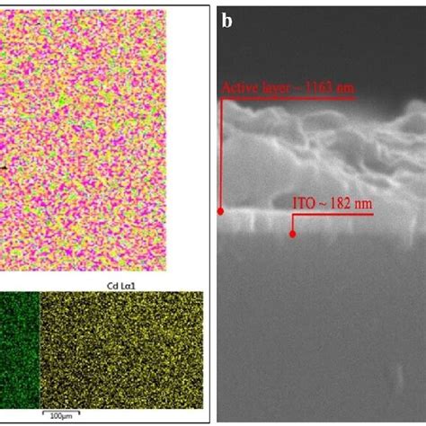 a sem edx mapping image of cd doped zno and b cross section sem