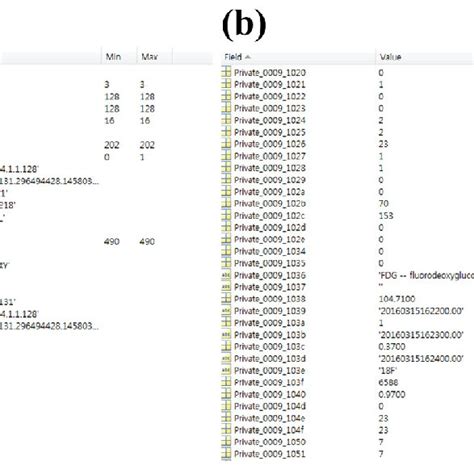 The Dicom Header Information Shown On Matlab Window A The Dicom Download Scientific Diagram
