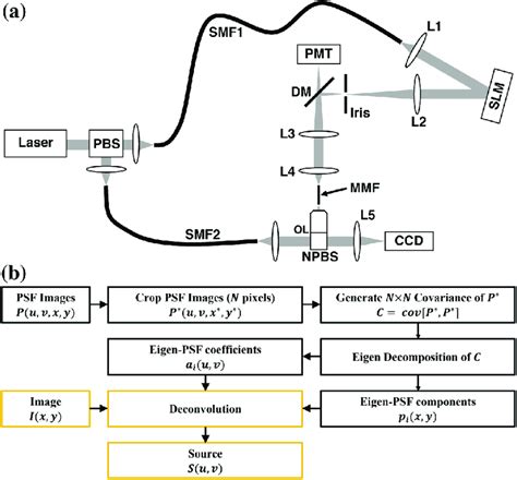 A Schematic Of The Experimental System B Simplified Flowchart For Download Scientific