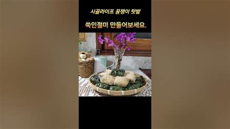 텃밭요리 집에서 밥알 쑥인절미 만들기 시골일상 Vegetables 시골집 봄날씨 봄나물 쑥떡 쑥인절미 Youtube