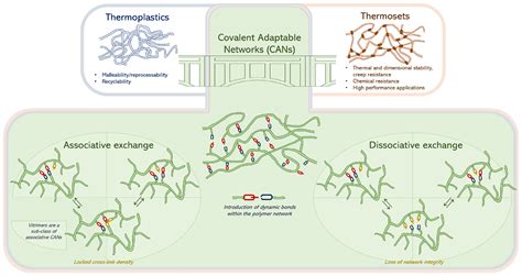 Polymers Free Full Text Molecular Simulation Of Covalent Adaptable