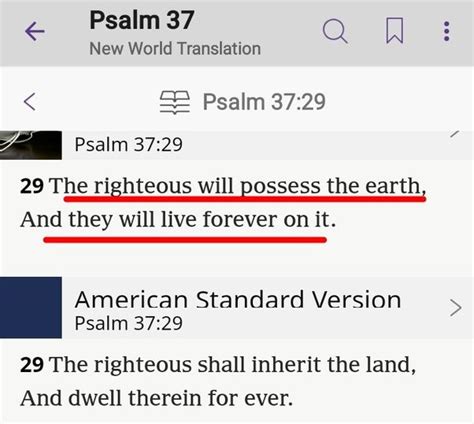 Why Would A Perfect Designer Make A Cell That Is Prone To Dna Error