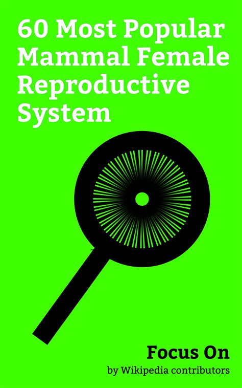 Buy Focus On 60 Most Popular Mammal Female Reproductive System Mammalian Reproduction Vagina