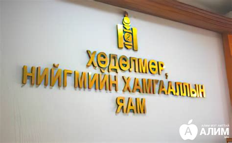 ХНХЯ Хөгжлийн бэрхшээлтэй 244 иргэний тэтгэмжийг түр зогсоосон