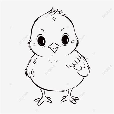 Pollito Para Colorear