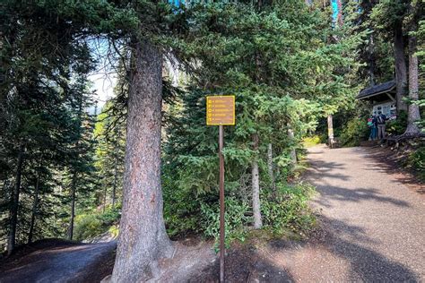 Lake Agnes Teahouse Banff National Park Trail Guide Go Wander Wild
