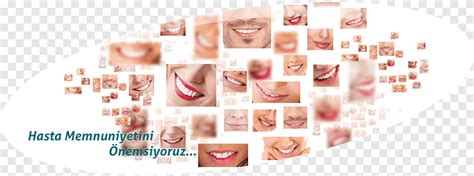 Стоматология Человеческий зуб Гигиена полости рта, постер стоматолога ...