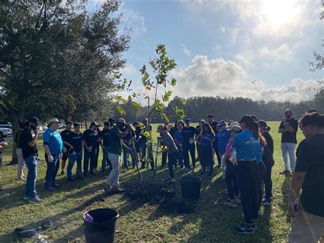 Trees For Houston Plants Over 100 Trees Houston Public Media