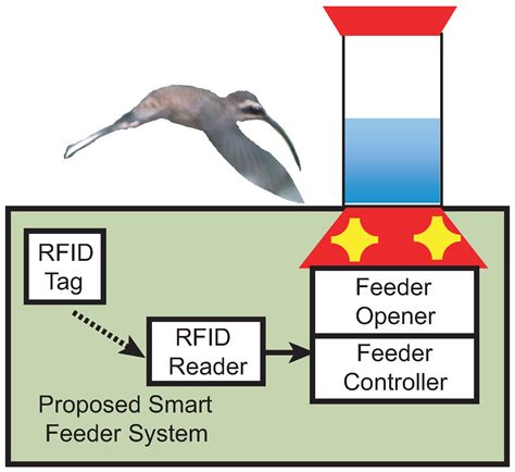 An Rfid Based Smart Feeder For Hummingbirds