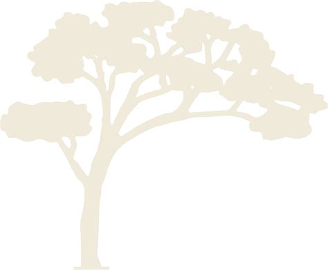 Machine Learning Bisi Computing