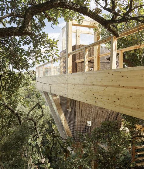 Flora Is A Mass Timber Research Pavilion In Barcelonas Forest Canopy