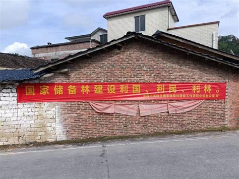清新区龙颈镇积极开展国家储备林建设项目宣传活动