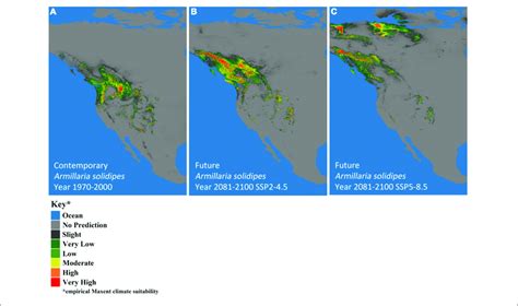 Maxent Based Bioclimatic Models For Armillaria Solidipes In Western