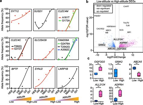 Genotype Frequency Variation And Expression Pattern Of Genes Under