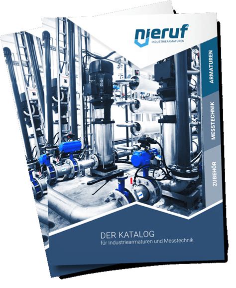 Flange Dn125 Pn1016 En1092 1 11 B1 Stainless Steel