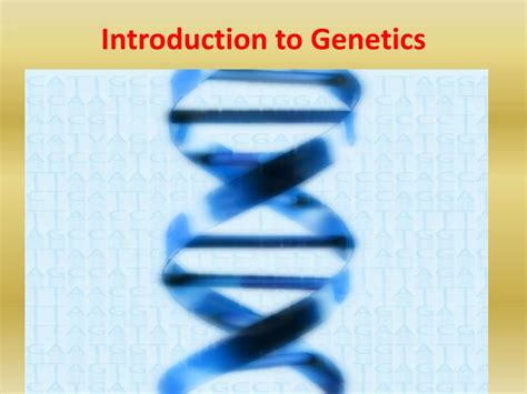 Ppt Introduction To Genetics Powerpoint Presentation Free Download