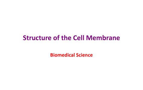SOLUTION Ew Structure Of The Cell Membrane Studypool