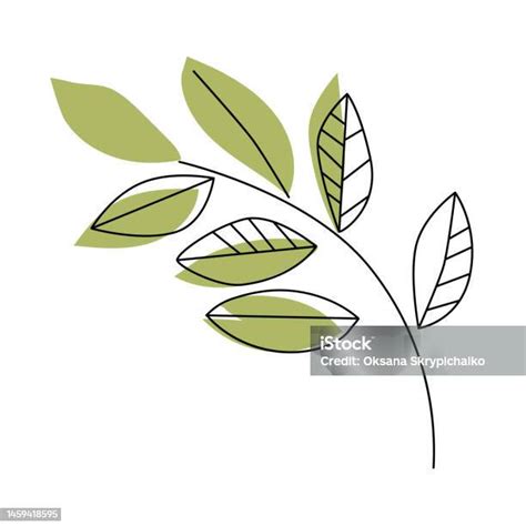 나뭇잎이있는 분기 흰색 배경에 격리되어 있습니다 라인이있는 플랫 스타일 최소한의 식물 디자인 벡터 그림입니다 잎에 대한 스톡 벡터 아트 및 기타 이미지 Istock