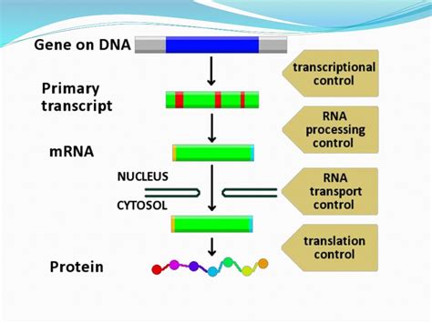 Rna Editing