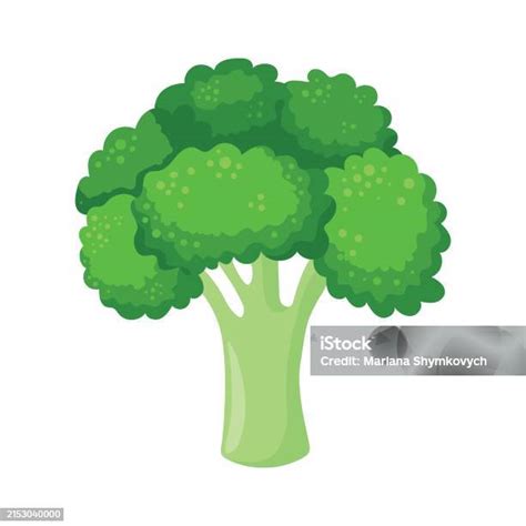 흰색 배경에 고립 된 평면 스타일의 브로콜리 벡터 일러스트 레이 션 건강한 생활방식에 대한 스톡 벡터 아트 및 기타 이미지