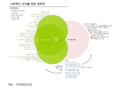 보고서 디지털 사회혁신의 활성화 전략 연구