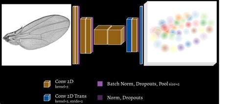 Image Registration Workshop