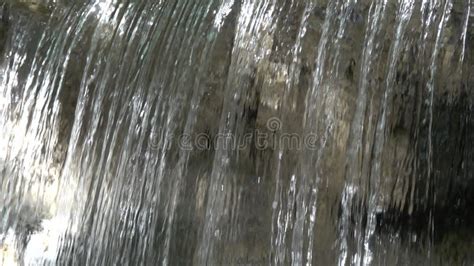 Closeup Slow Motion Of Someone Watering The Plants At The Daytime Stock