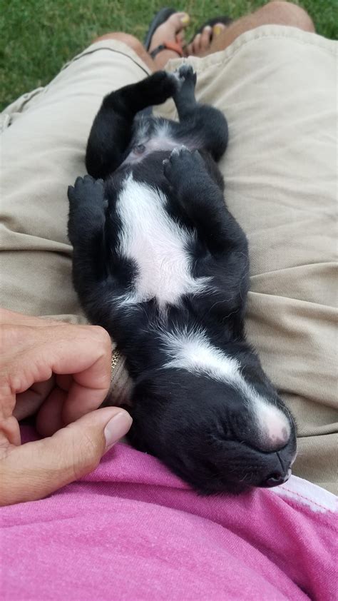 This Absolute Cutie R Pics