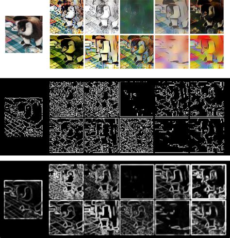 Figure 7 From Informative Dropout For Robust Representation Learning A Shape Bias Perspective