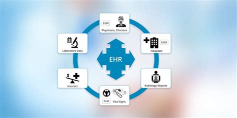 EHR System Development A Guide On Building EHR Software