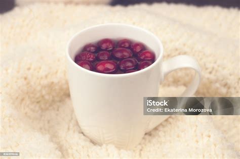크랜베리 백화점 부드러운 배경계절 호흡기 질환의 개념 감기 치료와 함께 차 한잔 가을에 대한 스톡 사진 및 기타 이미지 가을 감기와 독감 건강관리와 의술 Istock