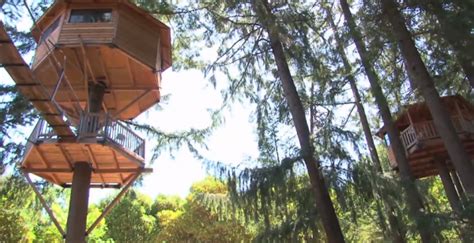 DIY Treehouse Inventor Creates Ewok World In Rural Oregon Eco Snippets