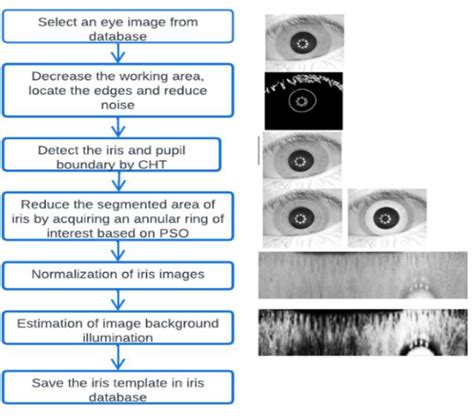figure 1 from iris recognition using curvelet transform and accuracy