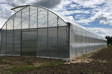 Промышленные и фермерские теплицы купить по лучшей цене АГРОФОРЕСТГРУПП
