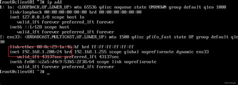 dhcp中继和超级作用域 csdn博客
